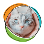 Veterinarian and Animal Hospital in Langhorne, PA | Pets Furst Urgent Care